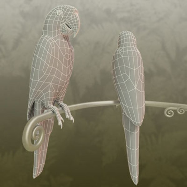 3ds max blue parrot birds