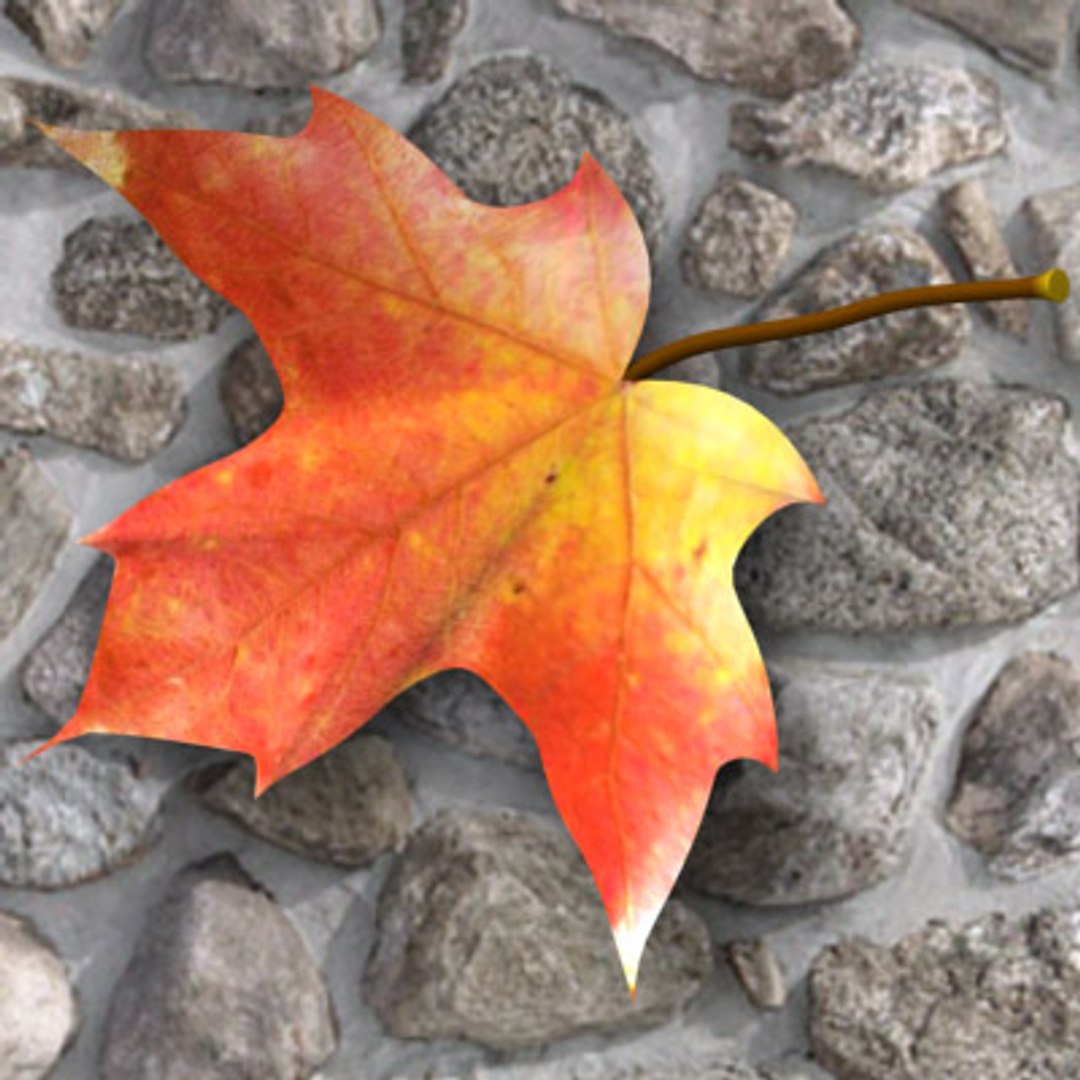 maya stone fountain water