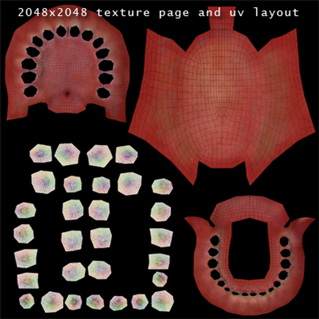 Teeth Animation Character Mouth 3d Model