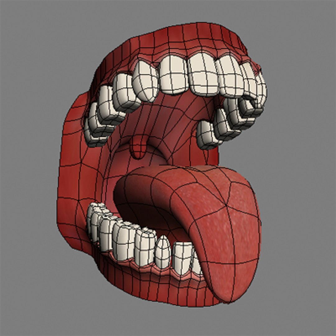 Teeth Animation Character Mouth 3d Model