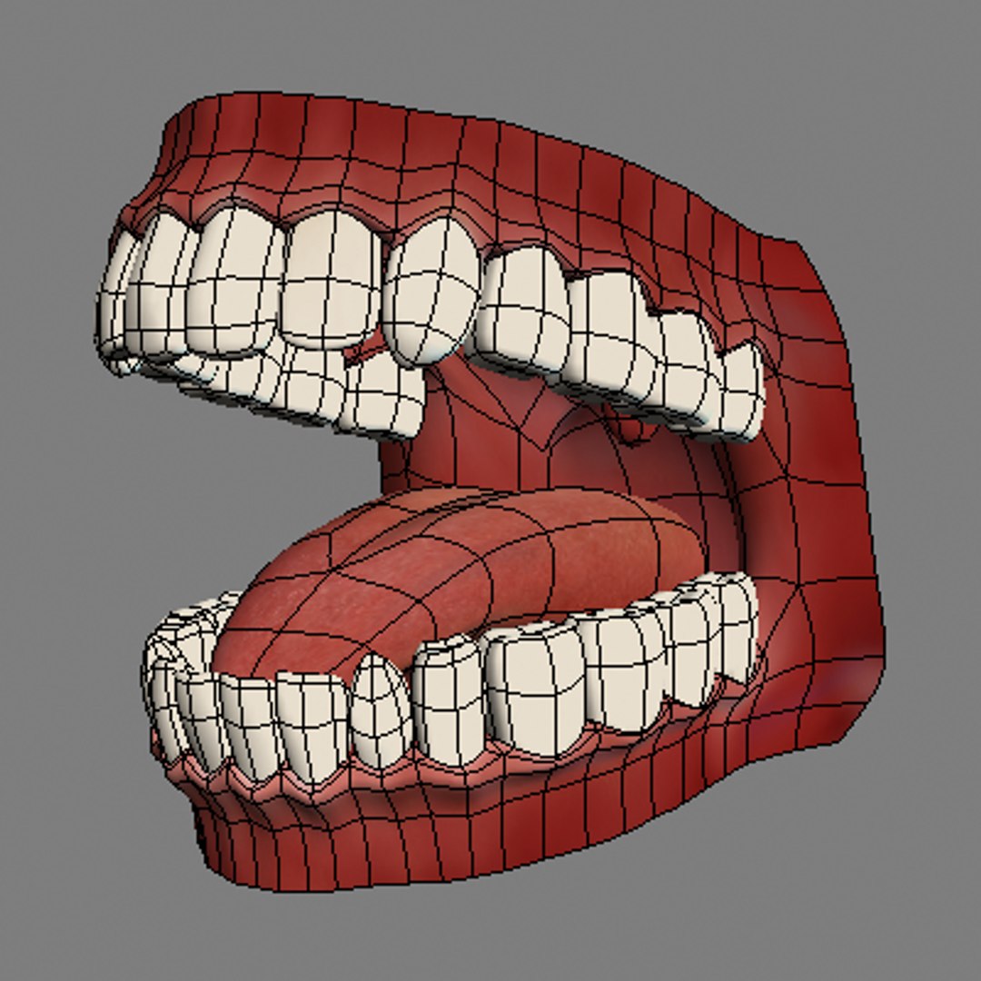 Teeth Animation Character Mouth 3d Model