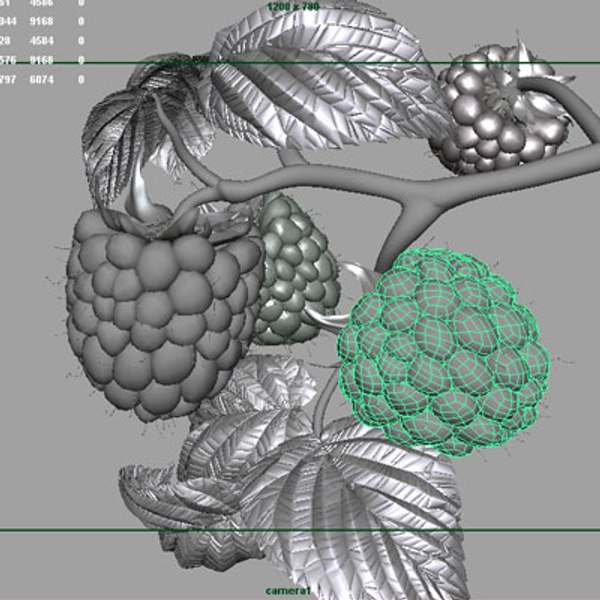 berries raspberries 3d model