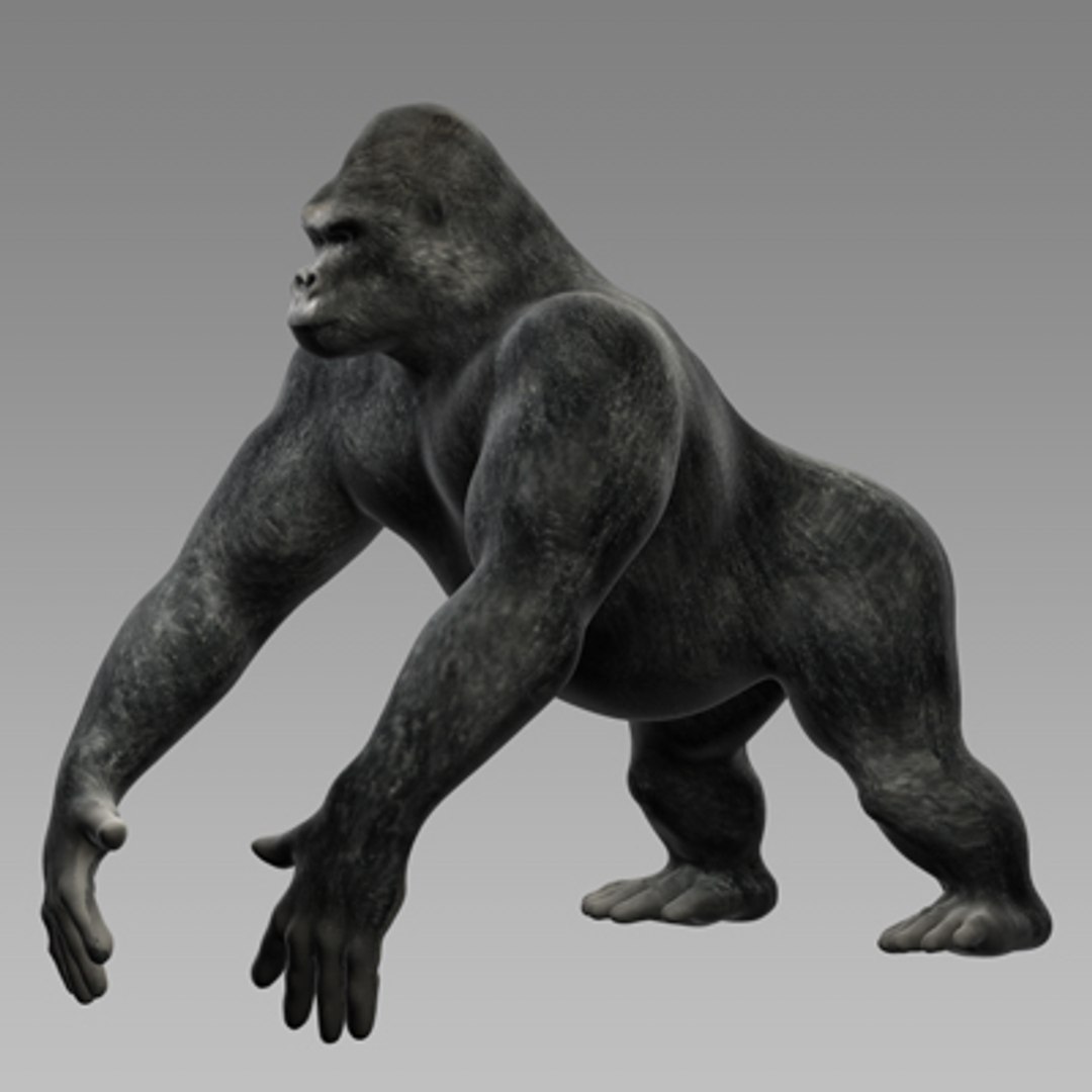 gorilla monkey chimp 3d model