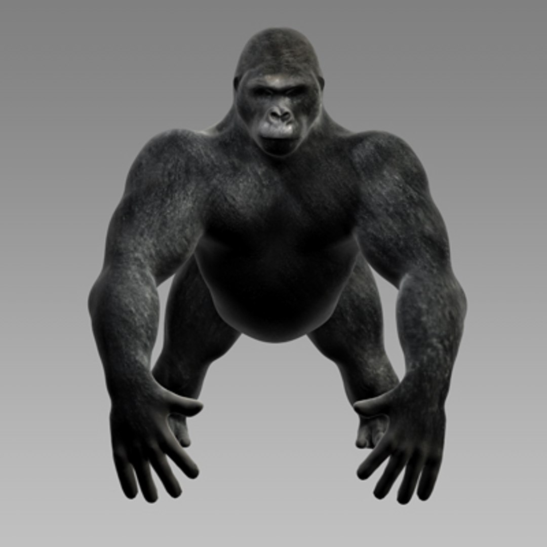 gorilla monkey chimp 3d model