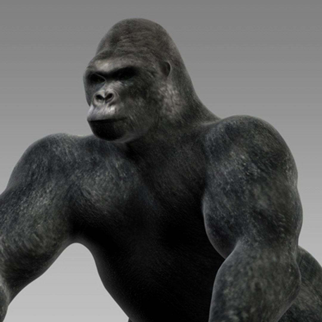 gorilla monkey chimp 3d model