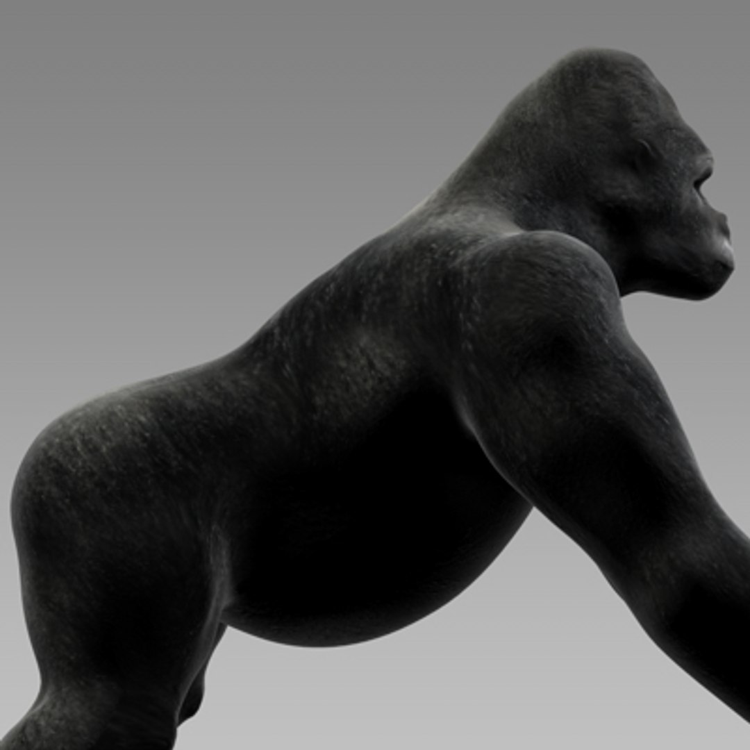 gorilla monkey chimp 3d model