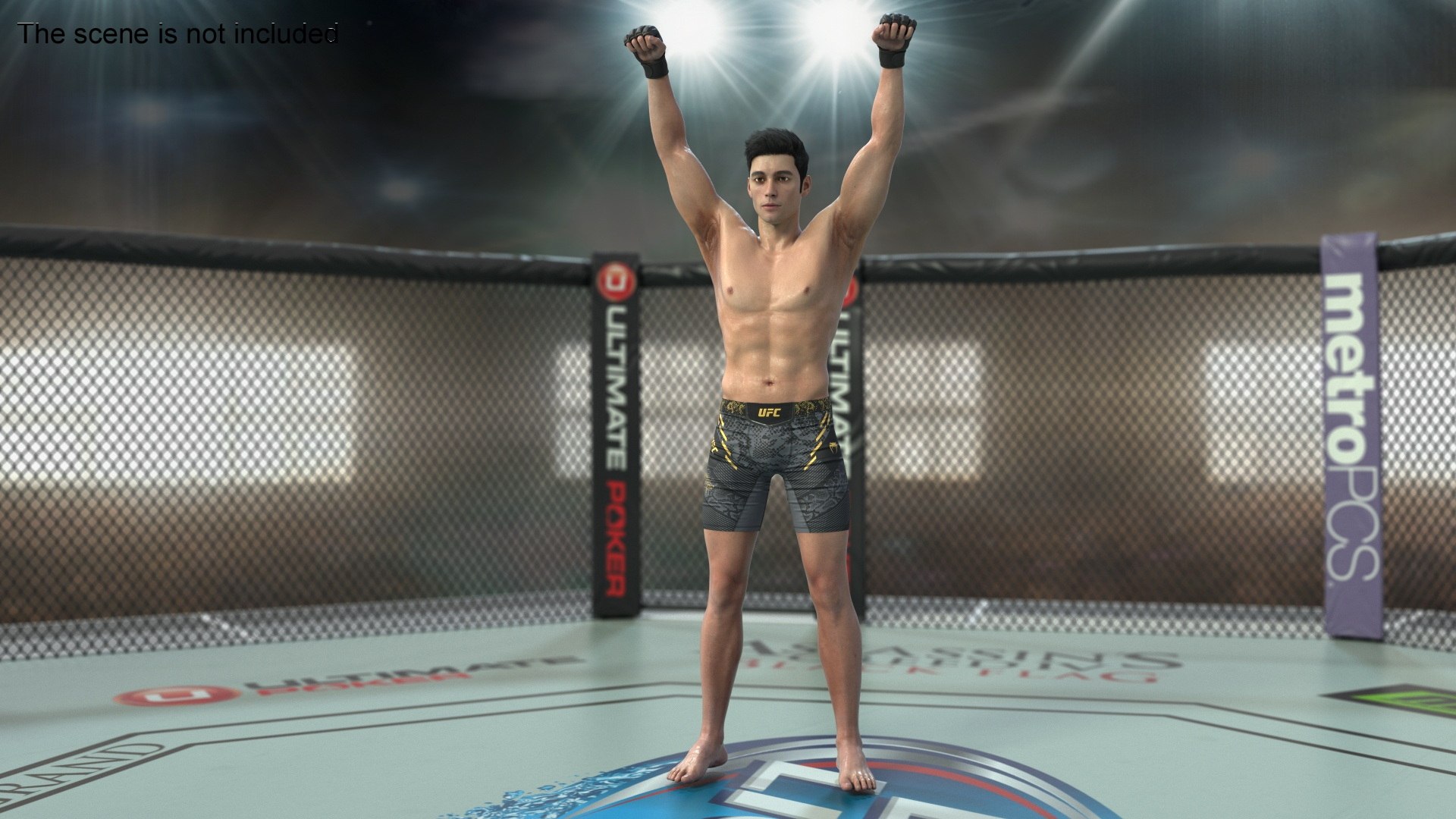 UFC MMA Fighter Sweaty Fur Rigged 3D Model - TurboSquid 2341344