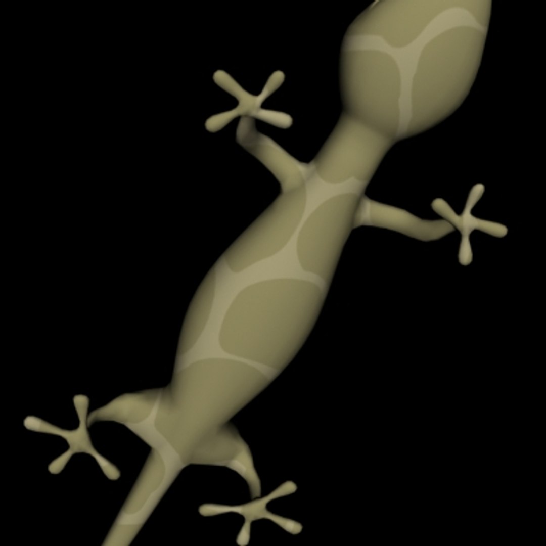 3d 3ds Gecko Animate