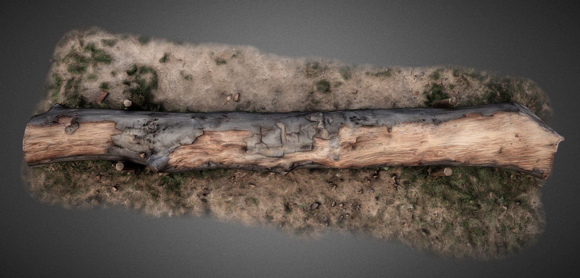 Tree Trunk 3D Model - TurboSquid 1326103