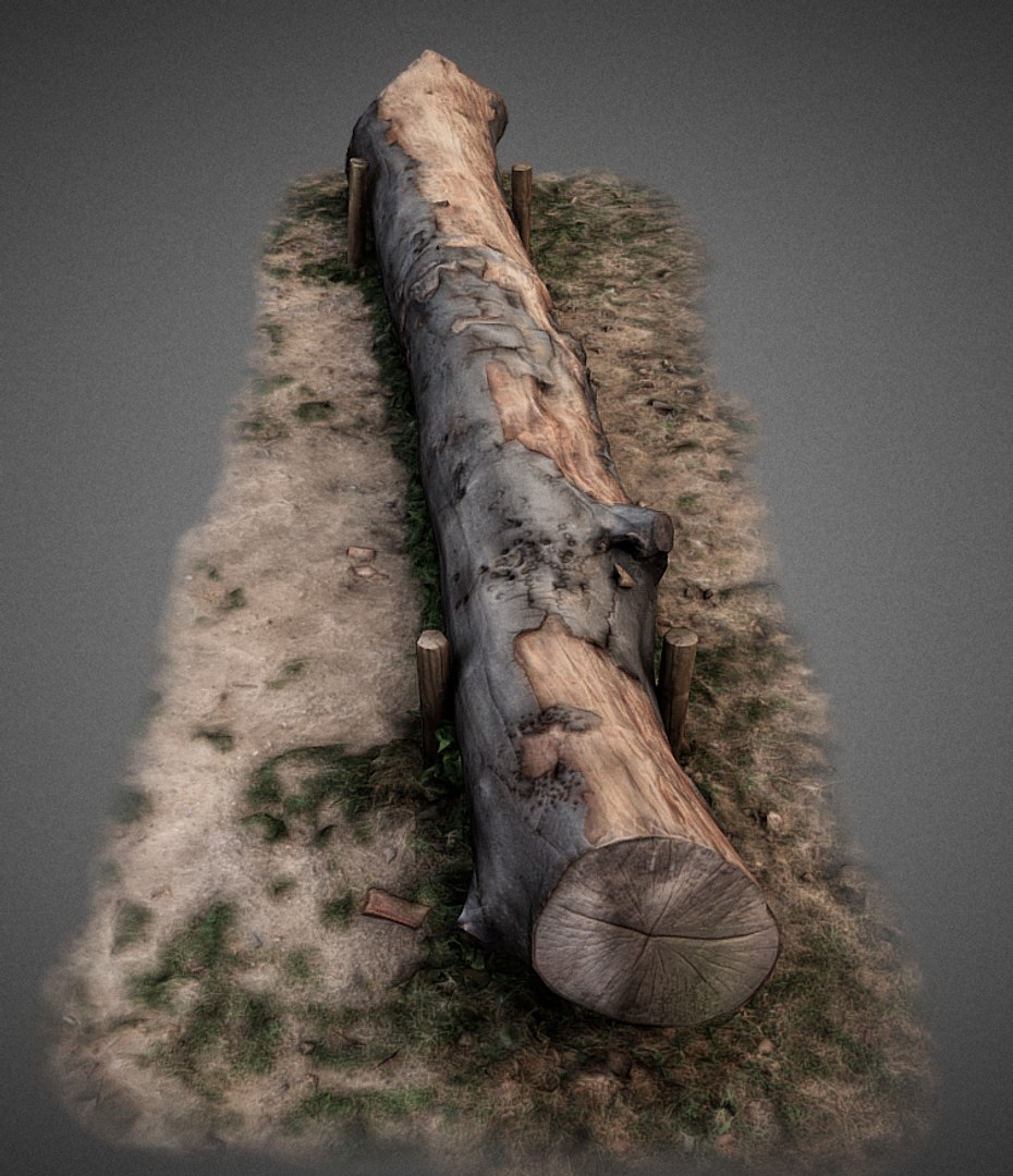 Tree Trunk 3D Model - TurboSquid 1326103