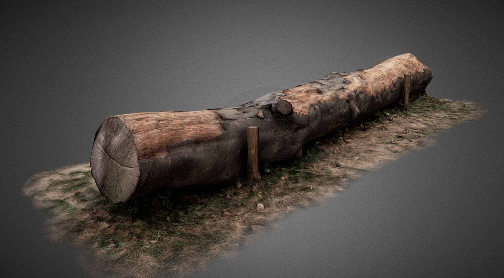 Tree Trunk 3D Model - TurboSquid 1326103
