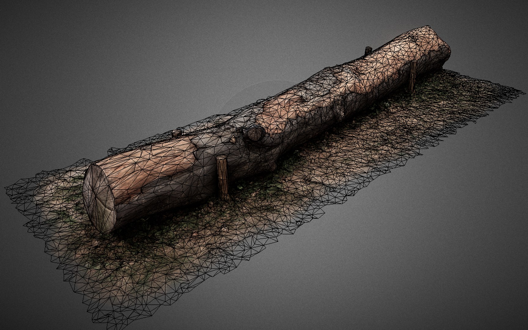 Tree Trunk 3D Model - TurboSquid 1326103