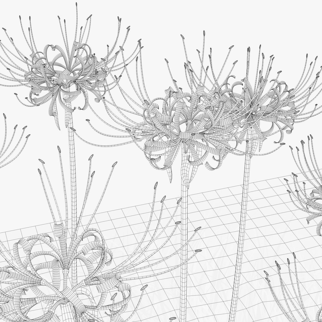 Red Spider Lily Model - TurboSquid 1349721