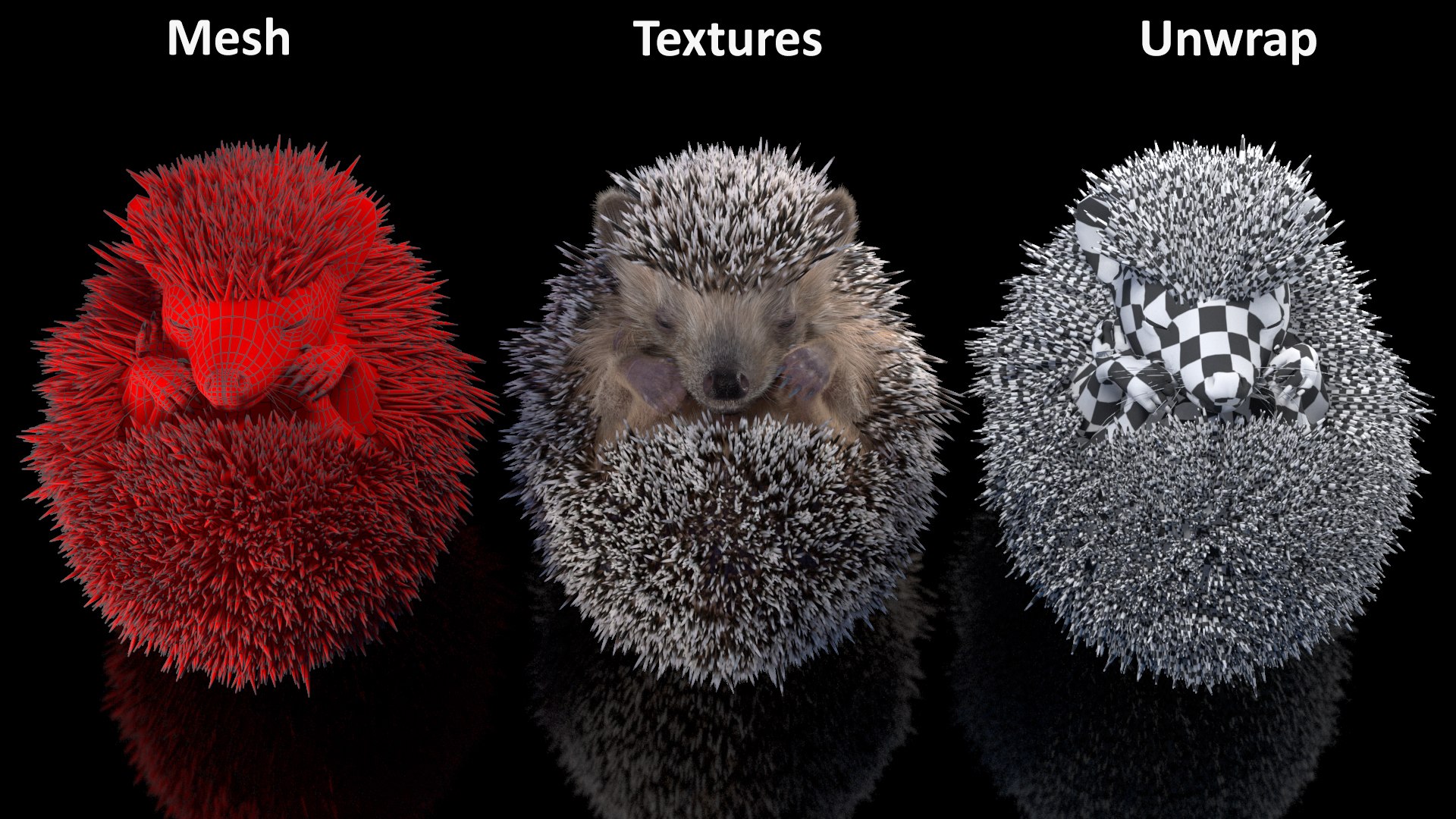 Hedgehogs Collection 3D model - TurboSquid 2096326