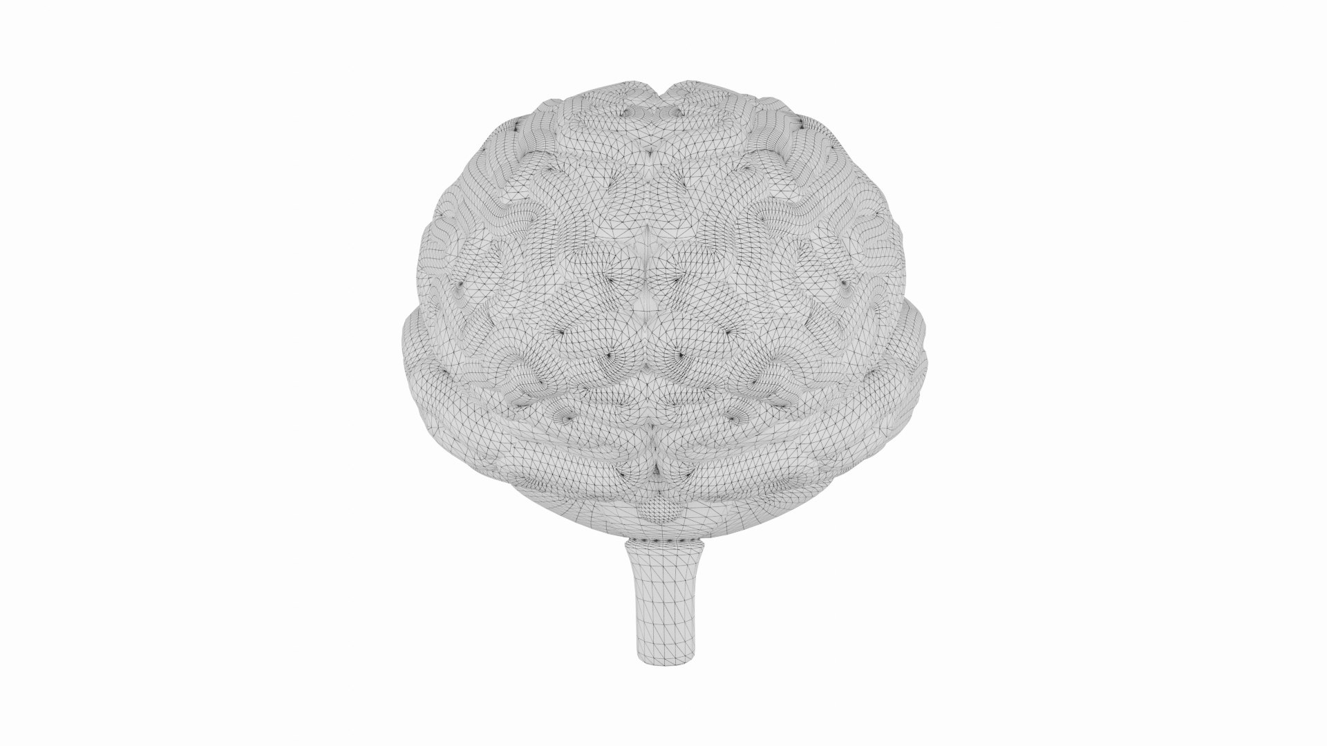 3D Human Brain 3D Model - Realistic Human Brain Anatomy Model ...