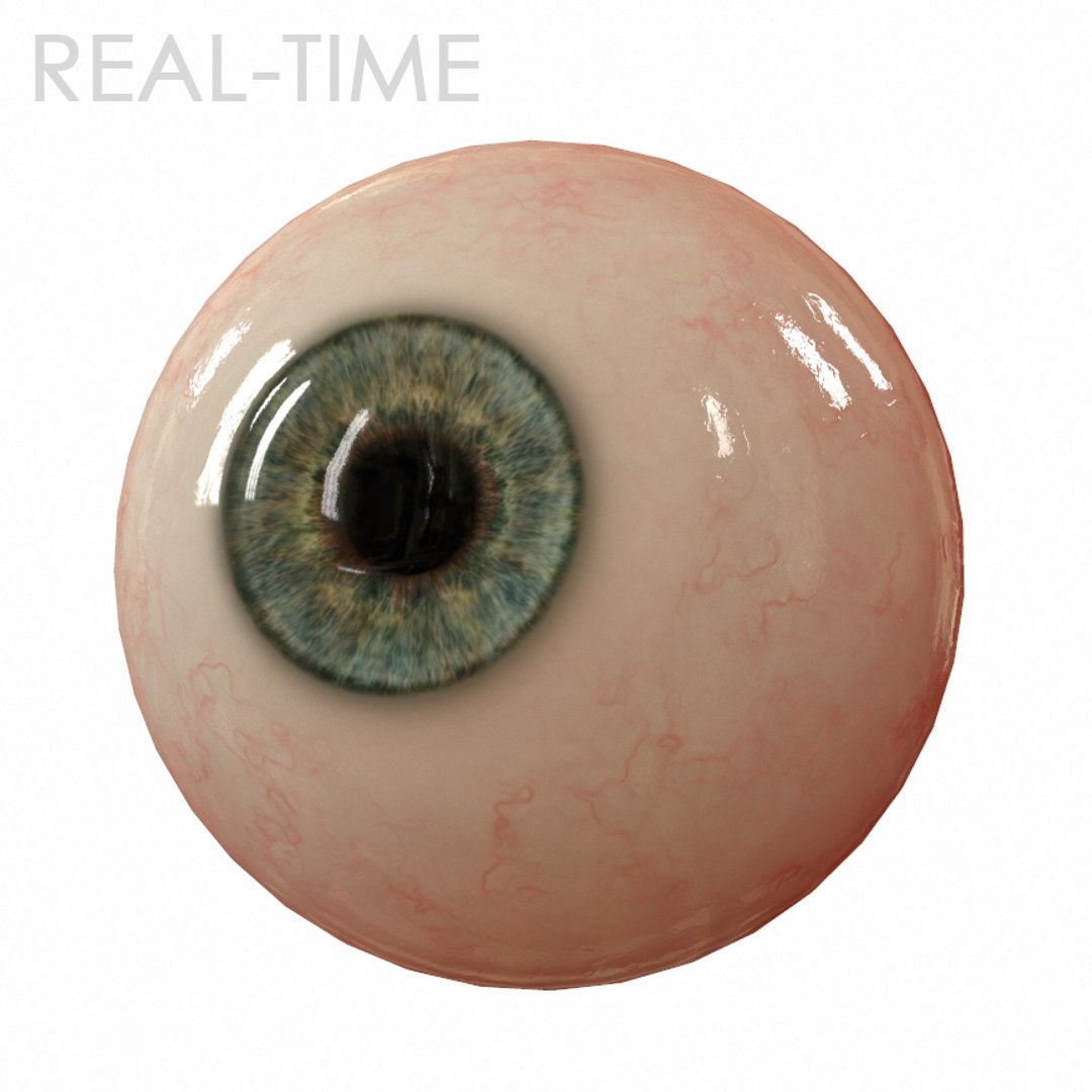 Eye Eyeball 3d Model