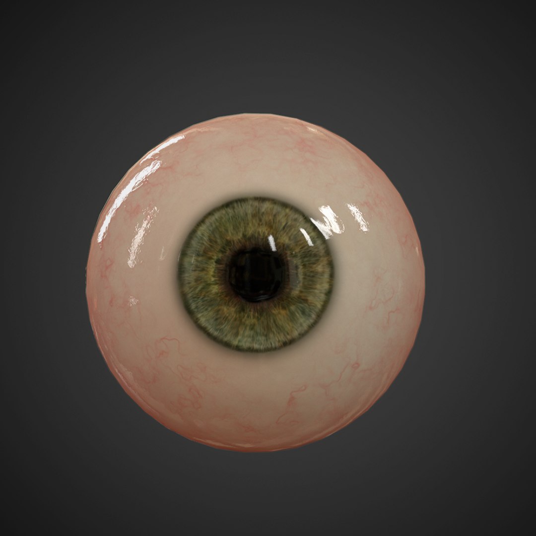 Eye Eyeball 3d Model