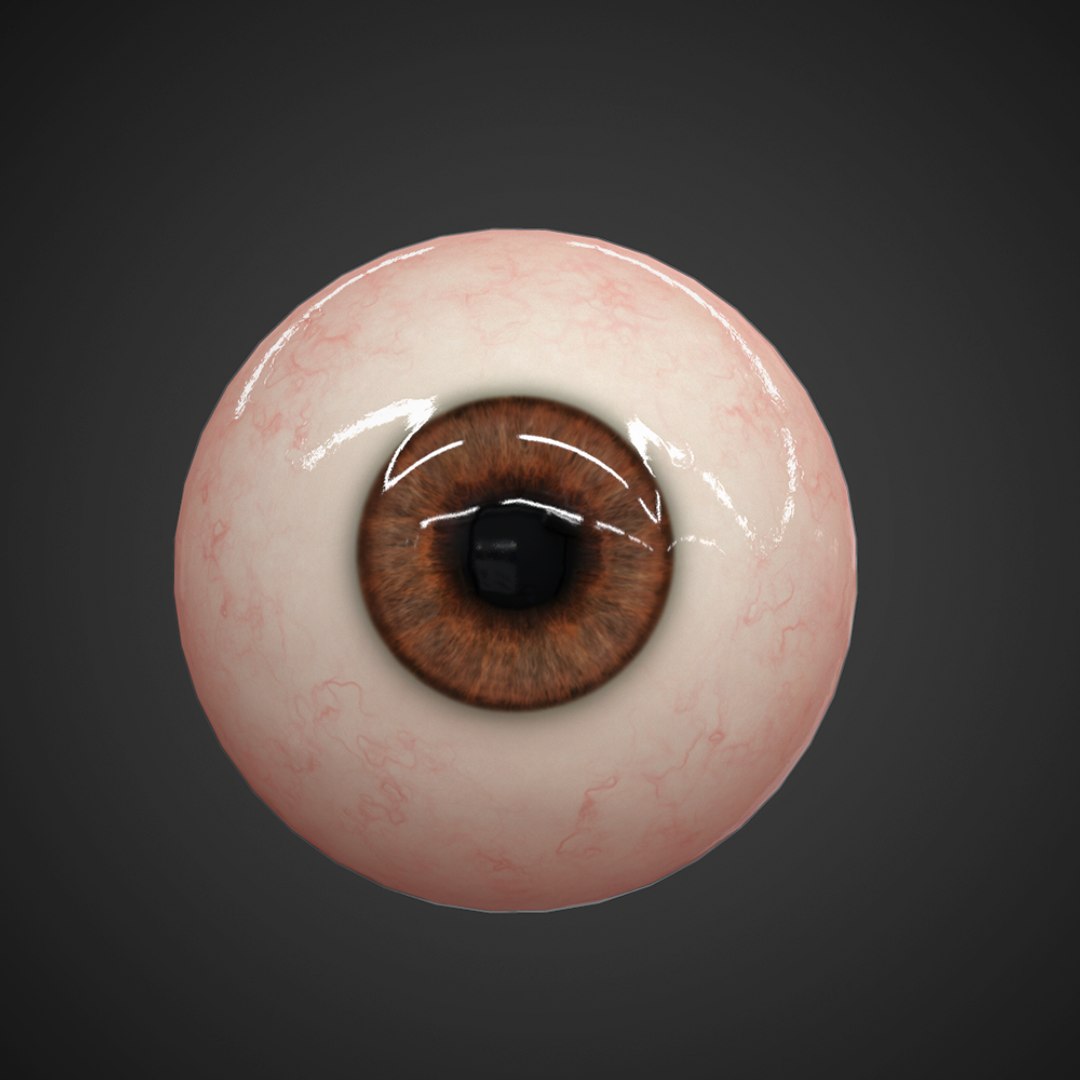 Eye Eyeball 3d Model