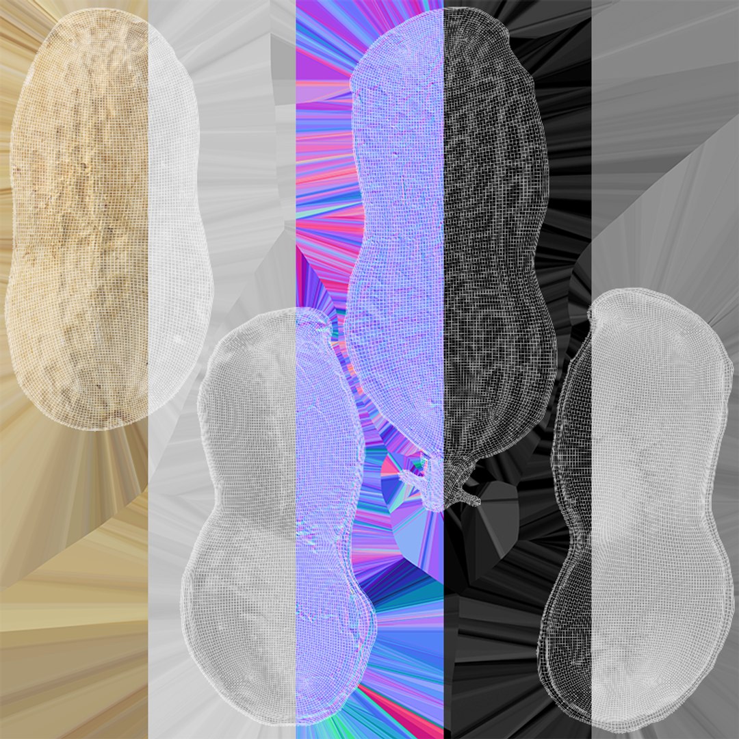 3D Peanut - Shells Model - TurboSquid 2261590