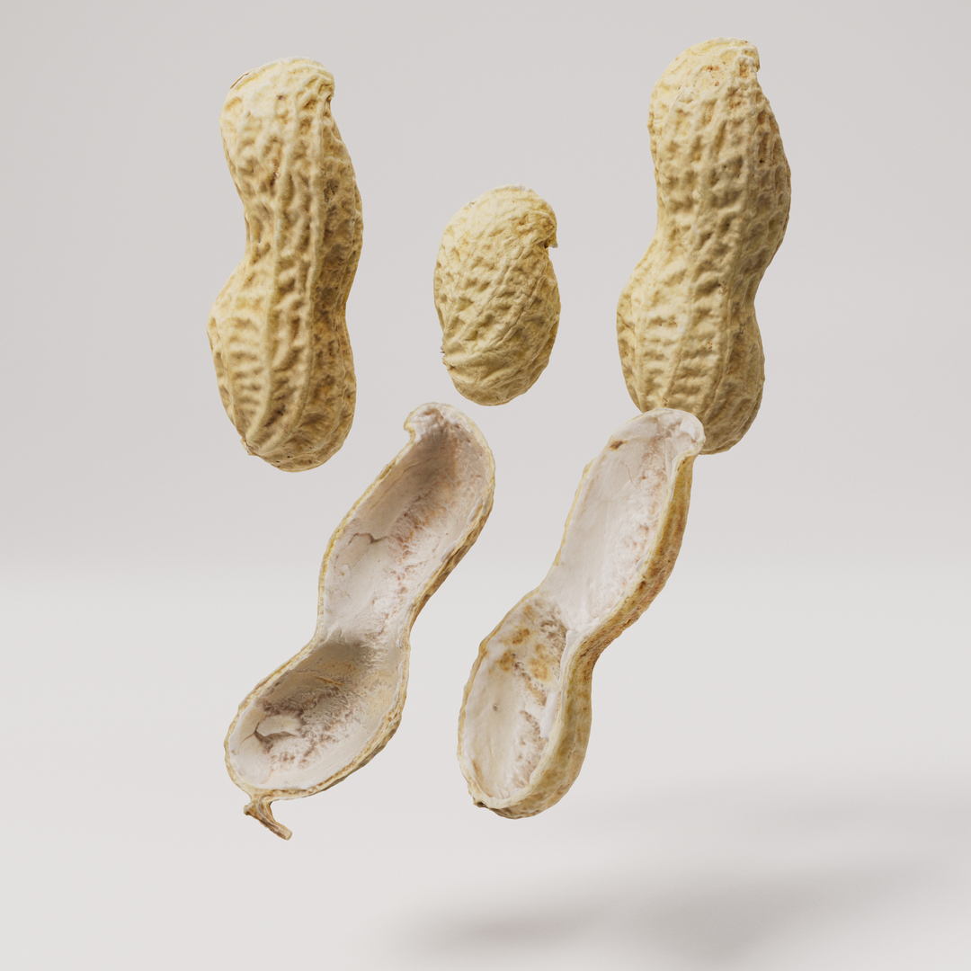 3D Peanut - Shells Model - TurboSquid 2261590