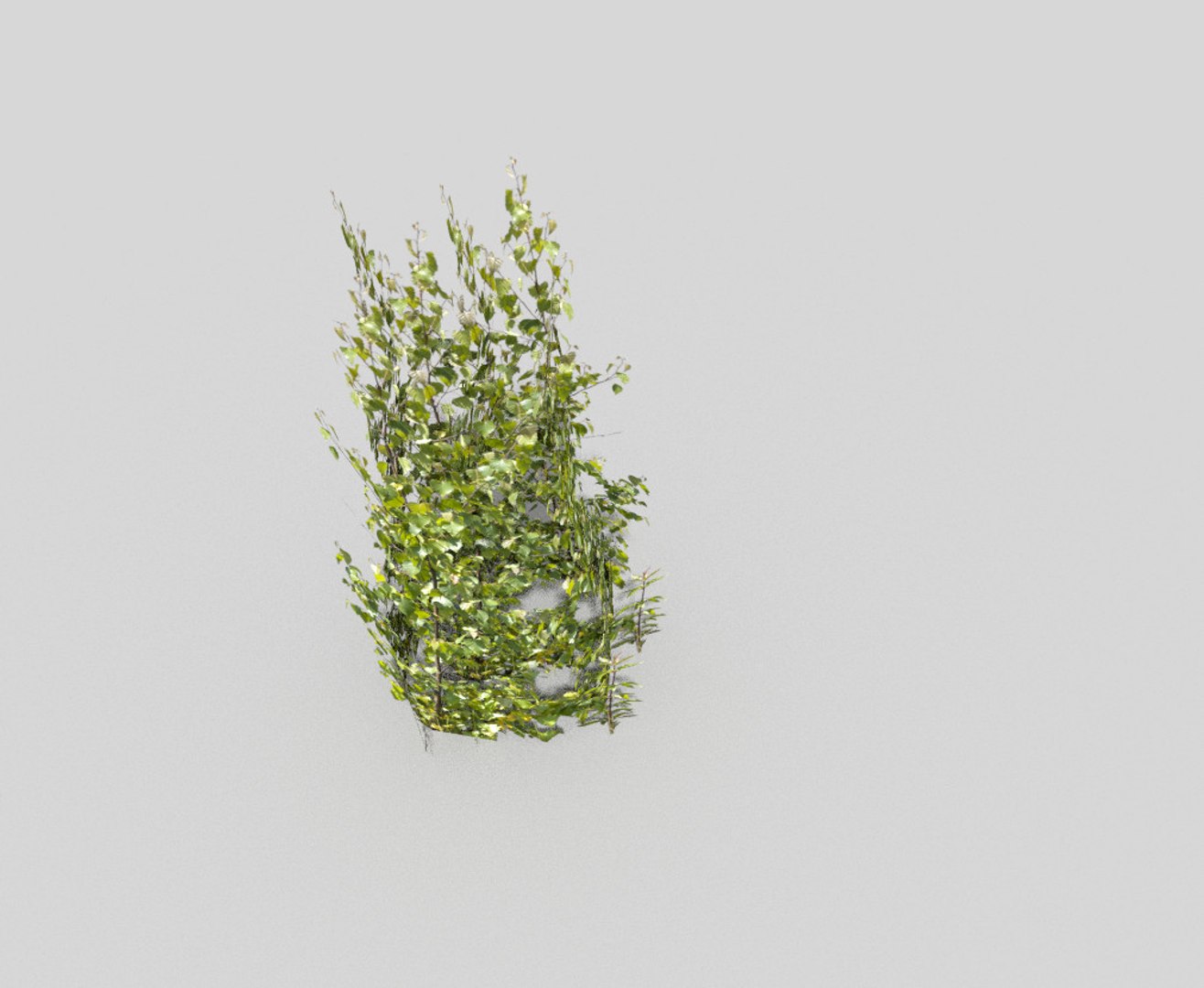 shrub games 3ds