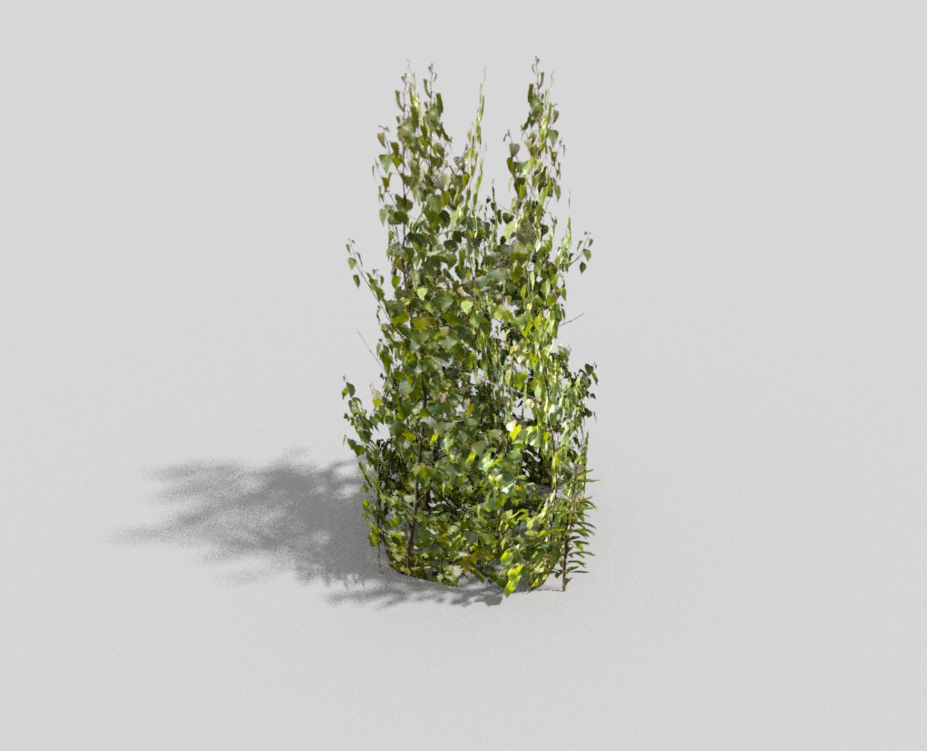 shrub games 3ds
