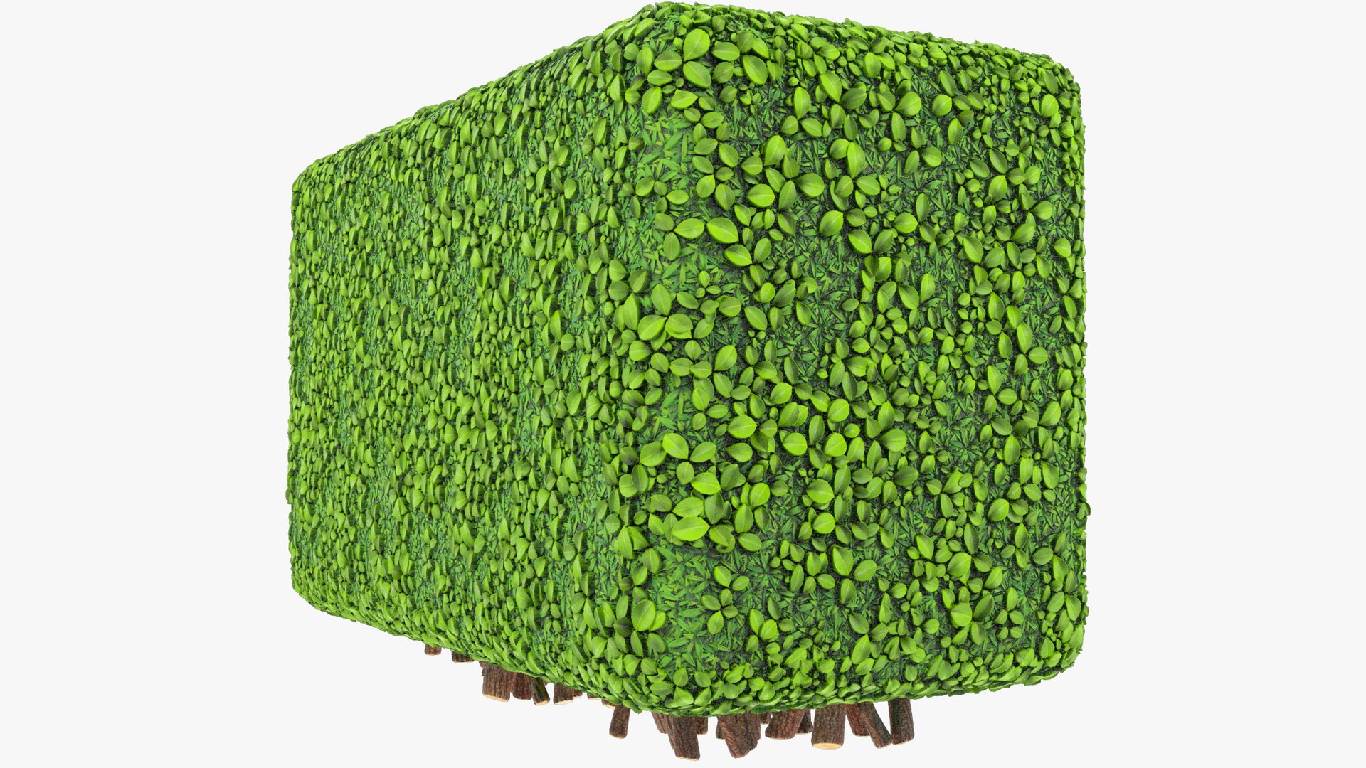 Stylized Square Bush V1 3D Model - TurboSquid 2094291