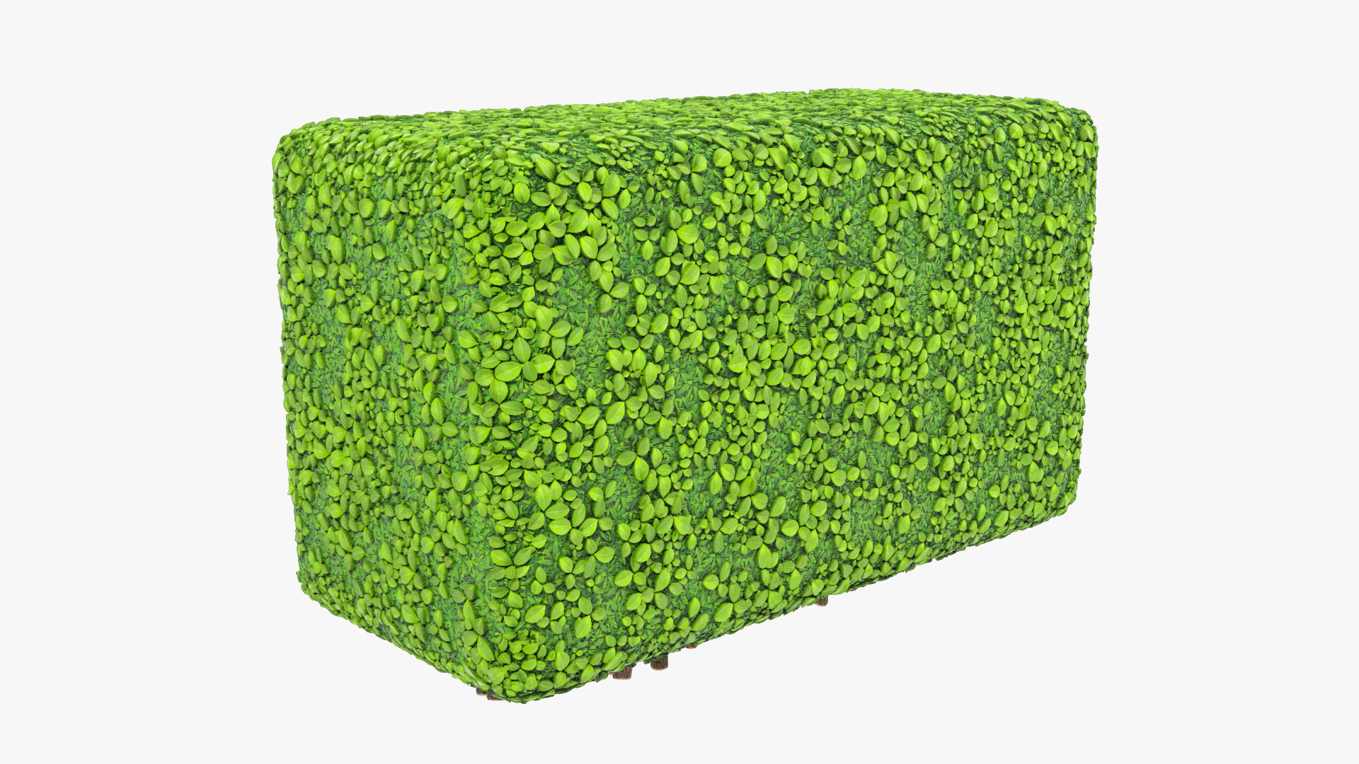 Stylized Square Bush V1 3D Model - TurboSquid 2094291