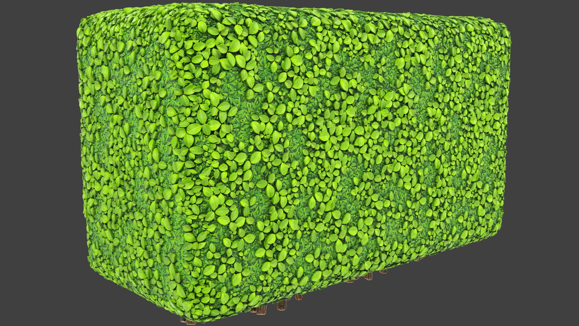 Stylized Square Bush V1 3D model - TurboSquid 2094291