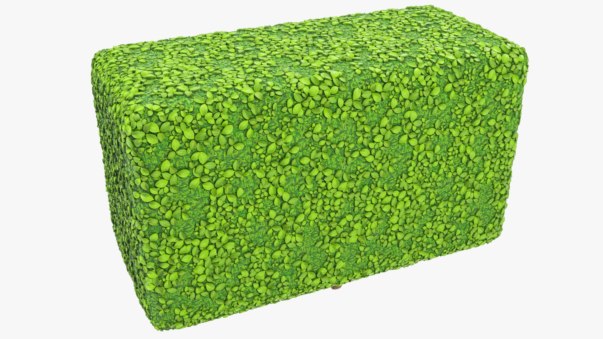 Stylized Square Bush V1 3D Model - TurboSquid 2094291