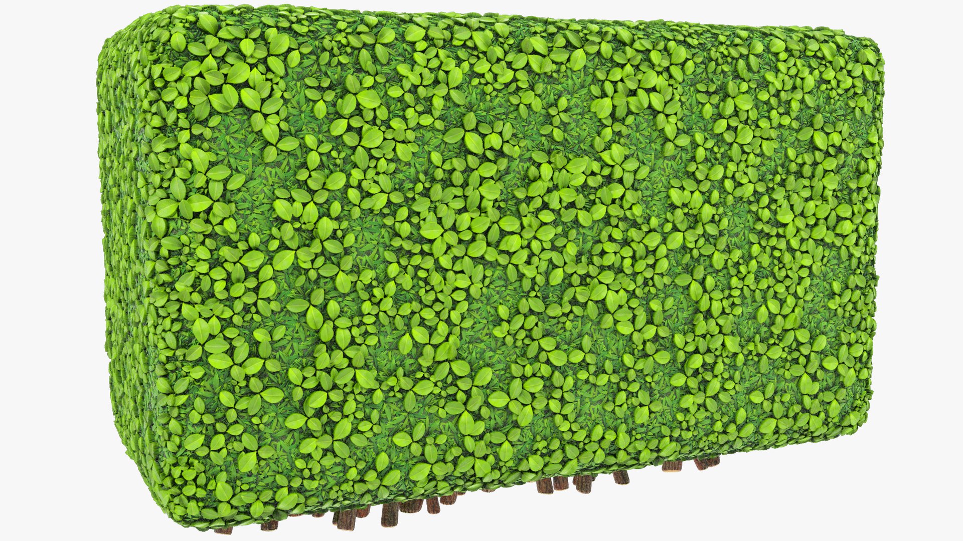 Stylized Square Bush V1 3D Model - TurboSquid 2094291