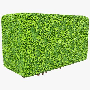 3D Plants Square Models - Browse & Download Formats - TurboSquid