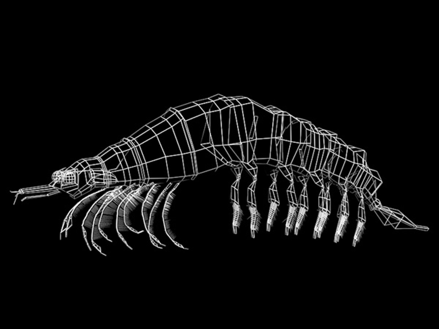 Krill Animations Max