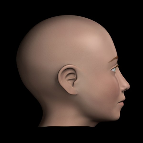3d model human head male