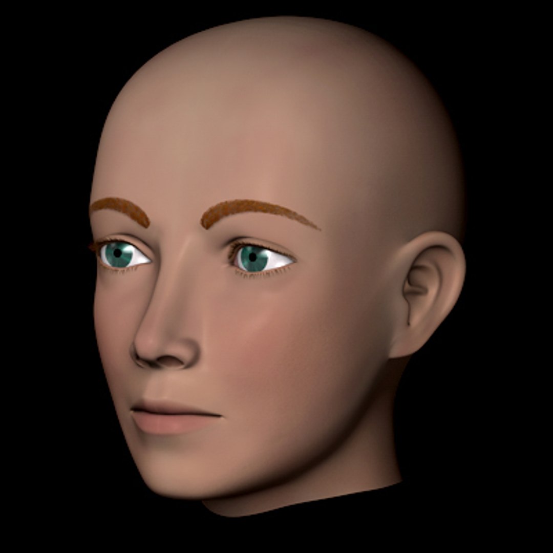 3d model human head male