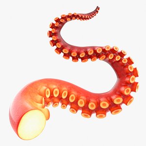 Low Poly 3D Octopus 3d Models For Download | TurboSquid