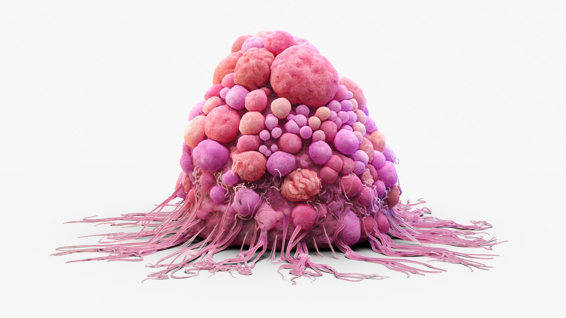 3d Model Cancer Cell Apoptosis Turbosquid 1915951