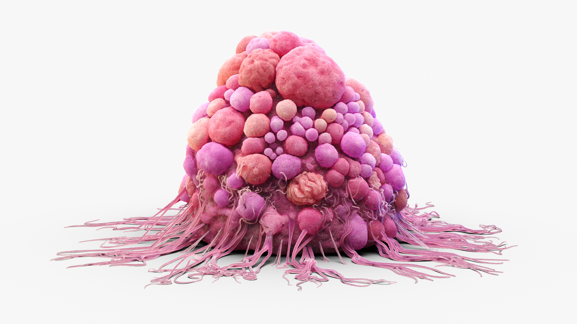 3D model Cancer Cell Apoptosis - TurboSquid 1915951