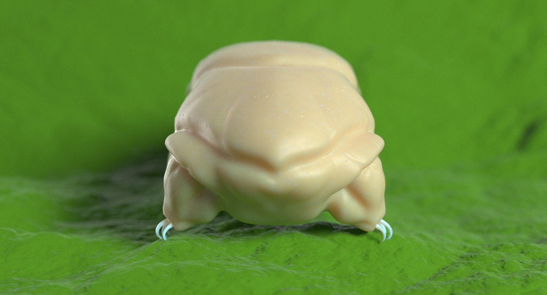 3D Water Bear - TurboSquid 1398056