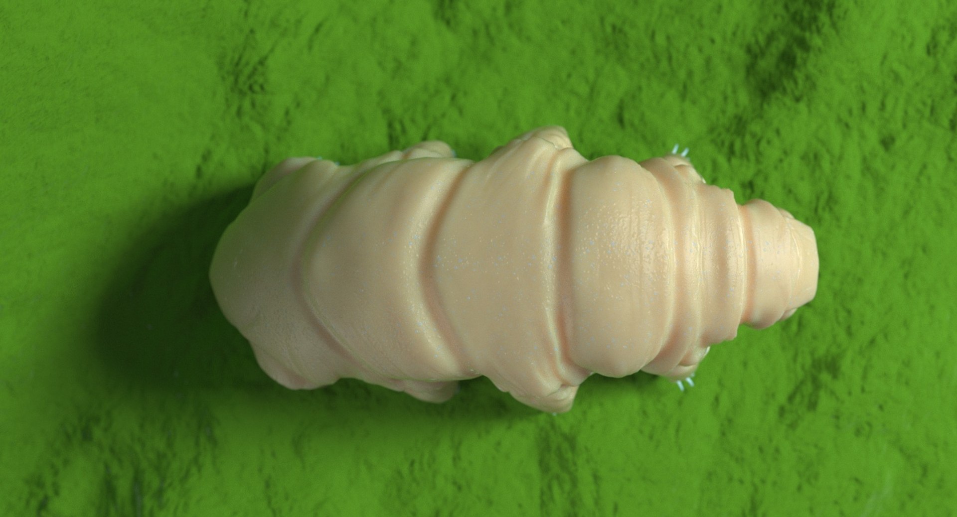 3D Water Bear - TurboSquid 1398056