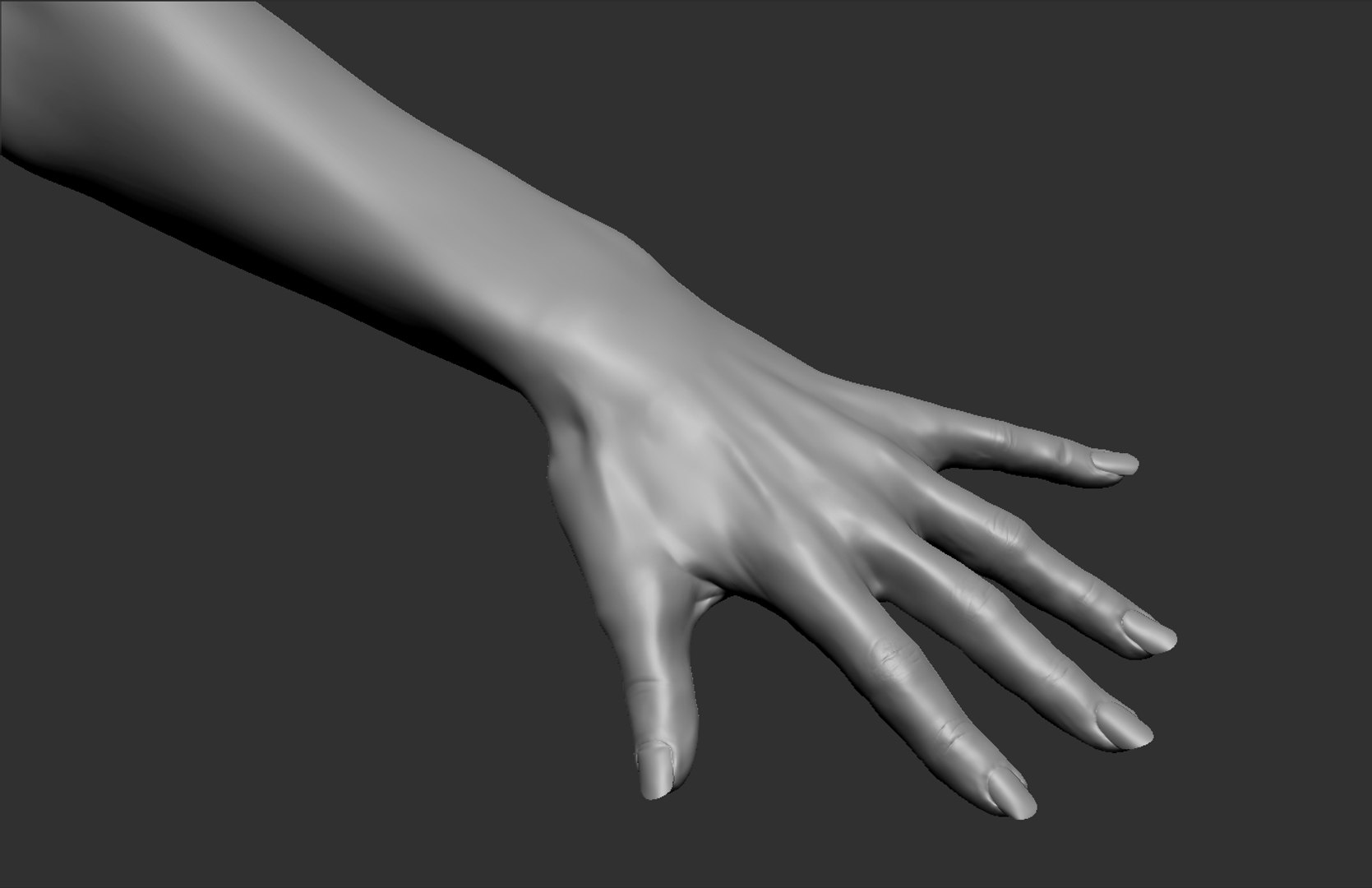 3d Model Beauty Female Hand