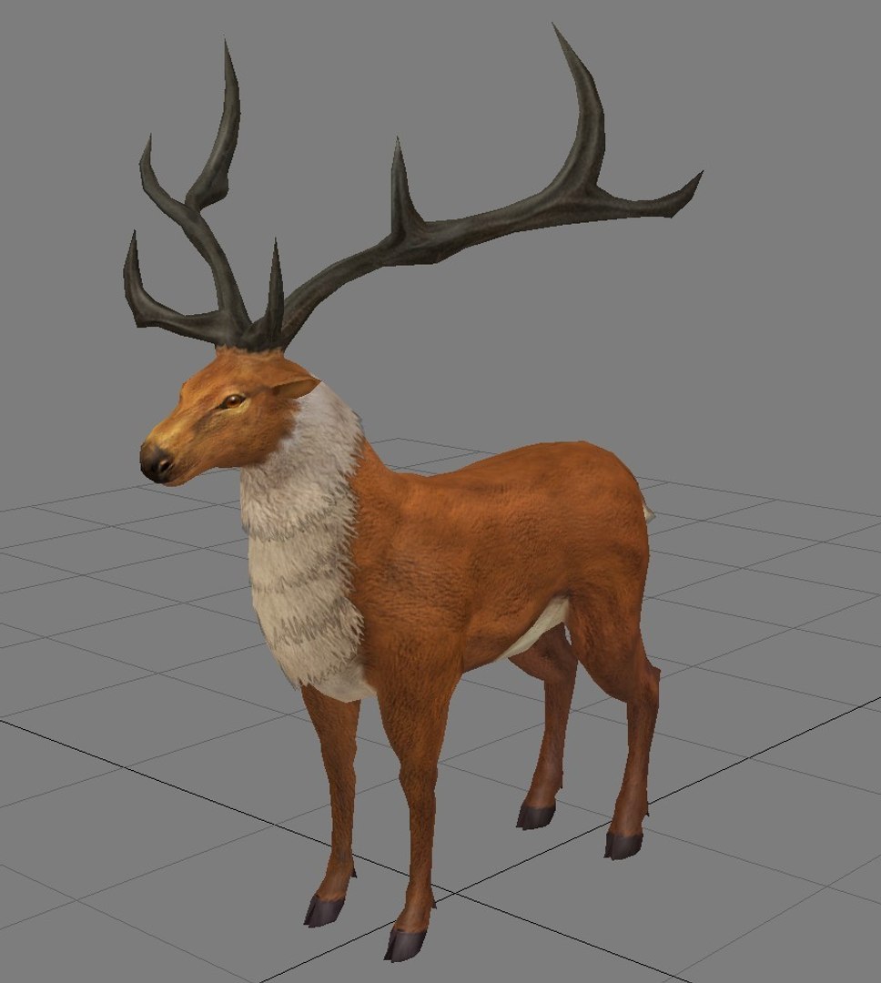 Max Reindeer Animals