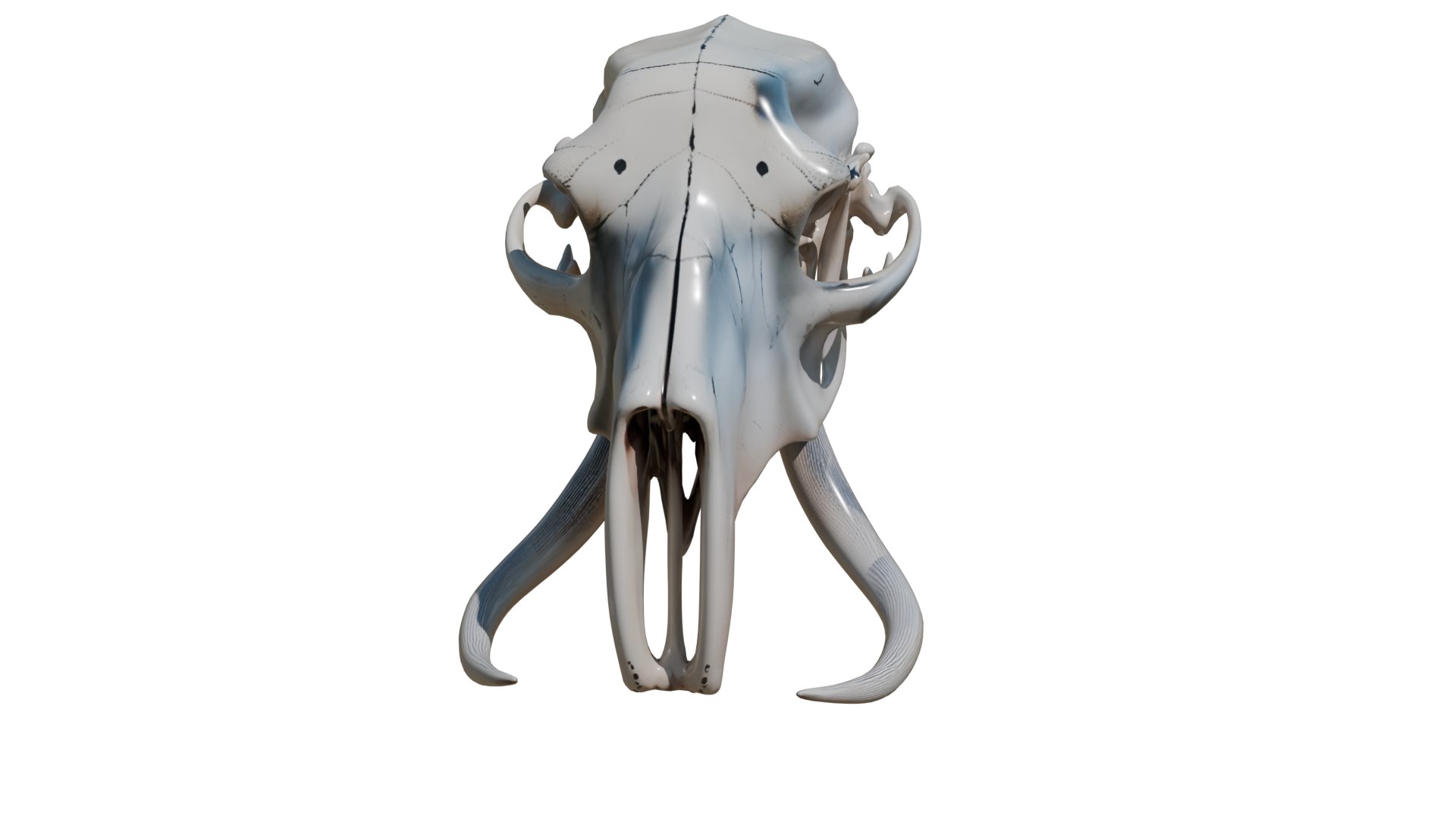 3D Realistic 3D Elephant Skull Model UV Unwrapped Single Mesh OBJ FBX ...