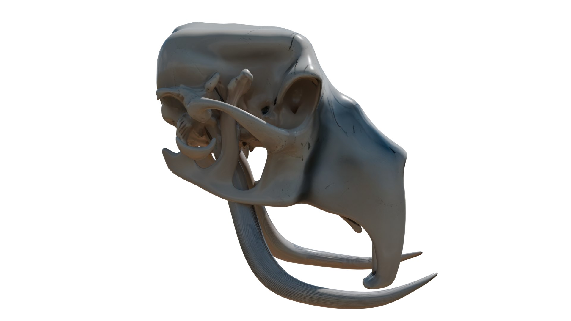 3D Realistic 3D Elephant Skull Model UV Unwrapped Single Mesh OBJ FBX ...