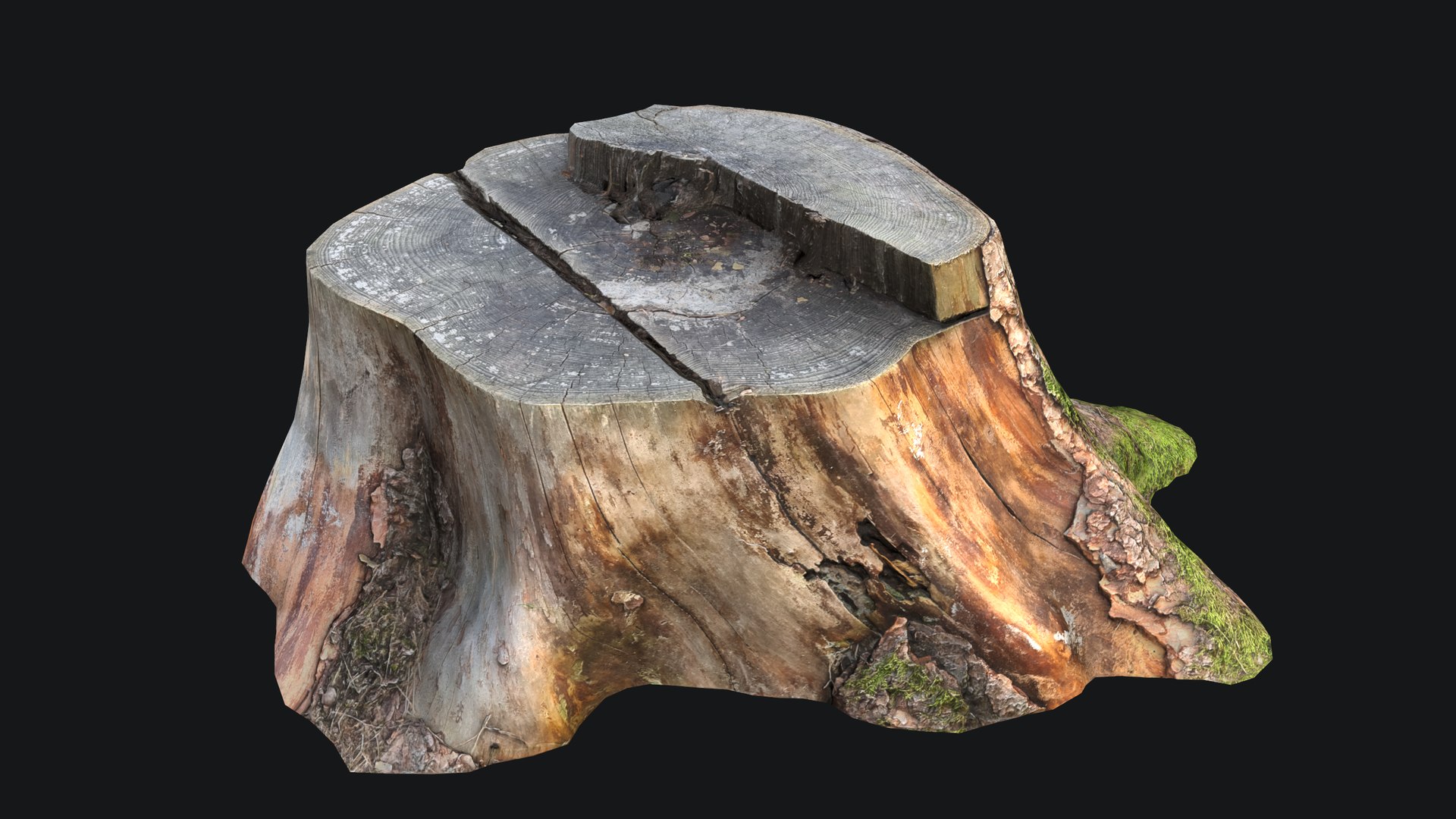 Stumps Photogrammetry Low poly 3D model - TurboSquid 1867174