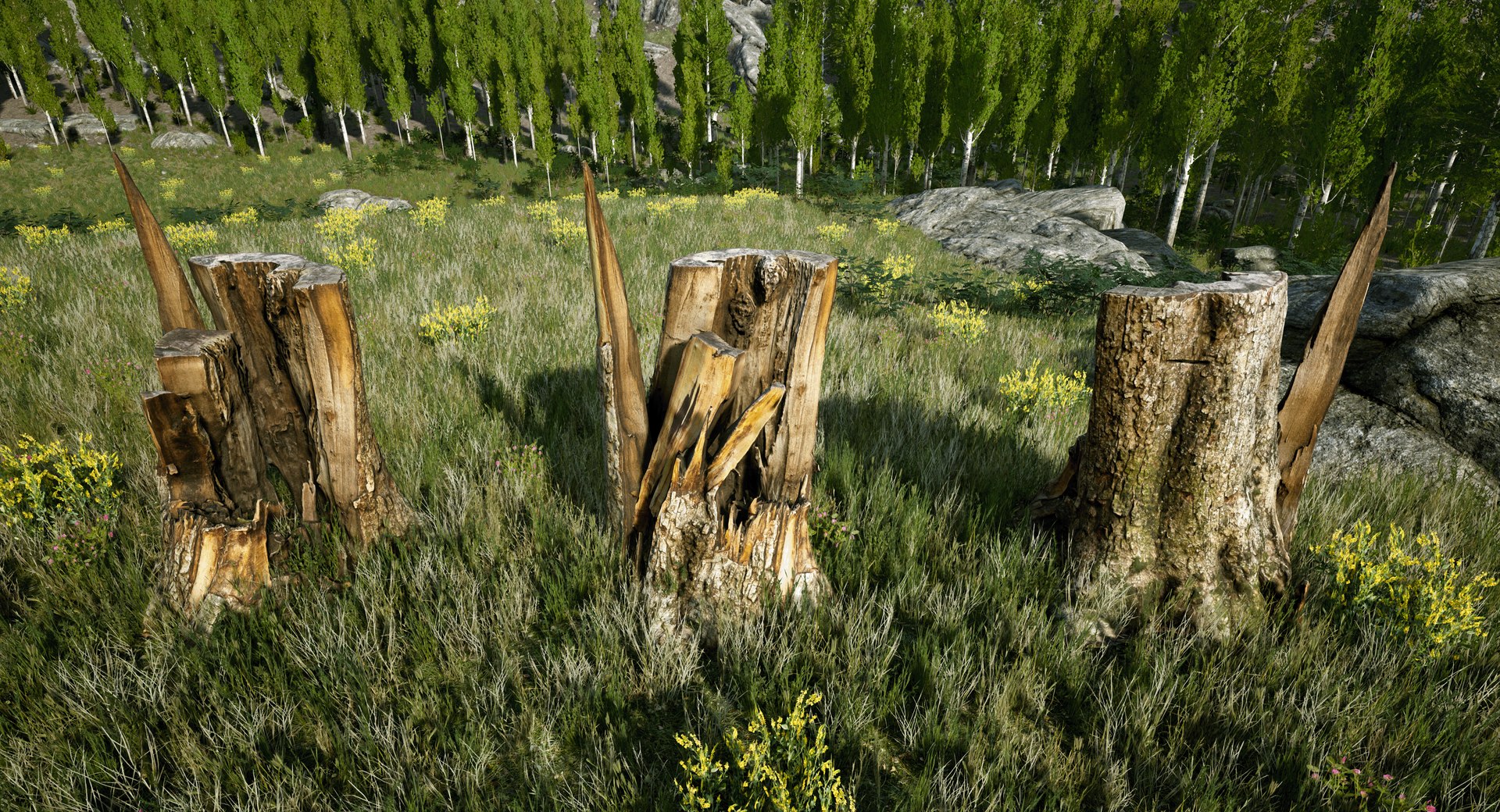 Stumps Photogrammetry Low poly 3D model - TurboSquid 1867174