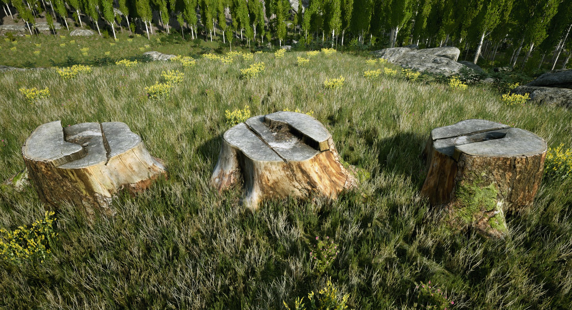 Stumps Photogrammetry Low poly 3D model - TurboSquid 1867174