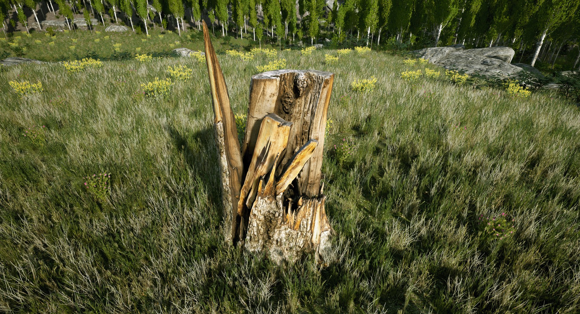 Stumps Photogrammetry Low poly 3D model - TurboSquid 1867174