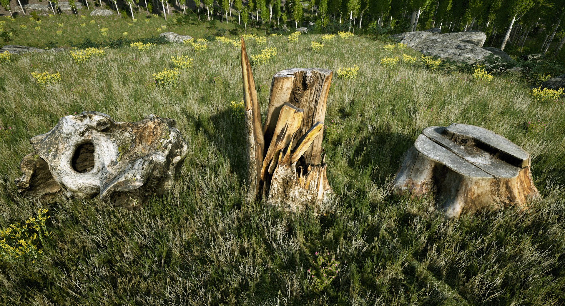 Stumps Photogrammetry Low poly 3D model - TurboSquid 1867174