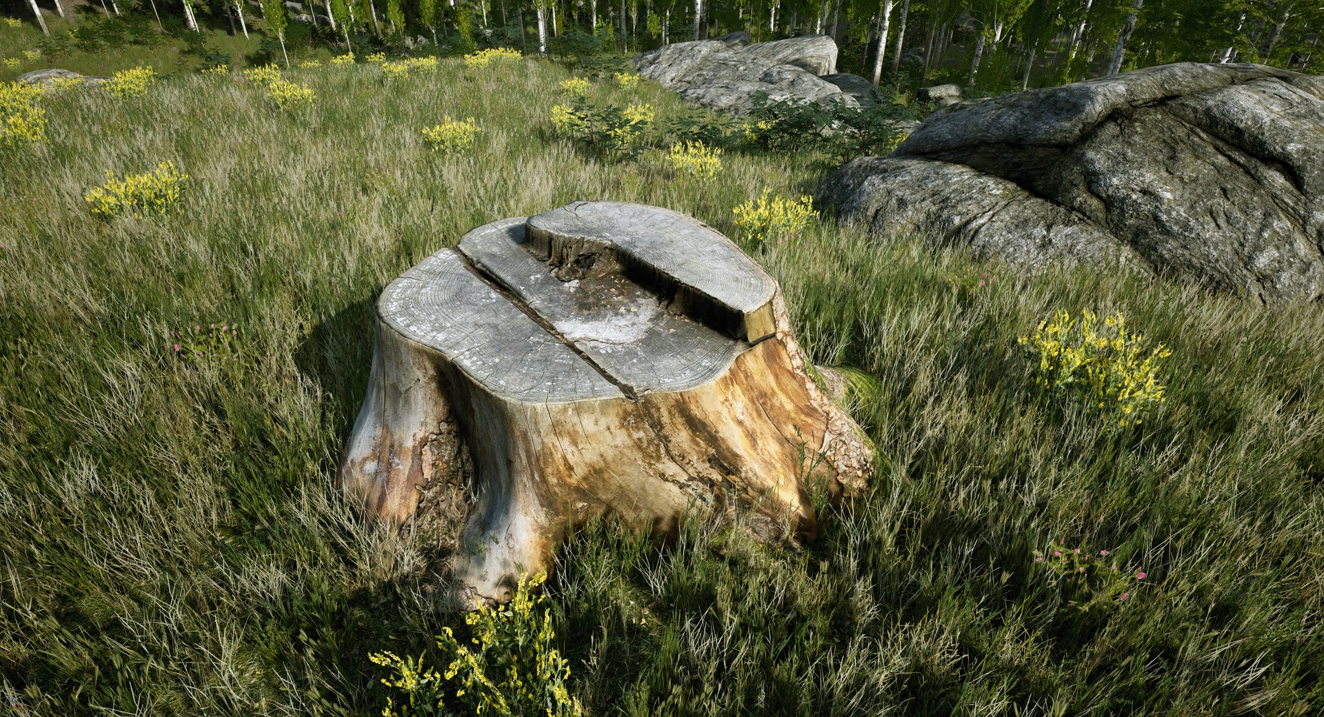 Stumps Photogrammetry Low poly 3D model - TurboSquid 1867174